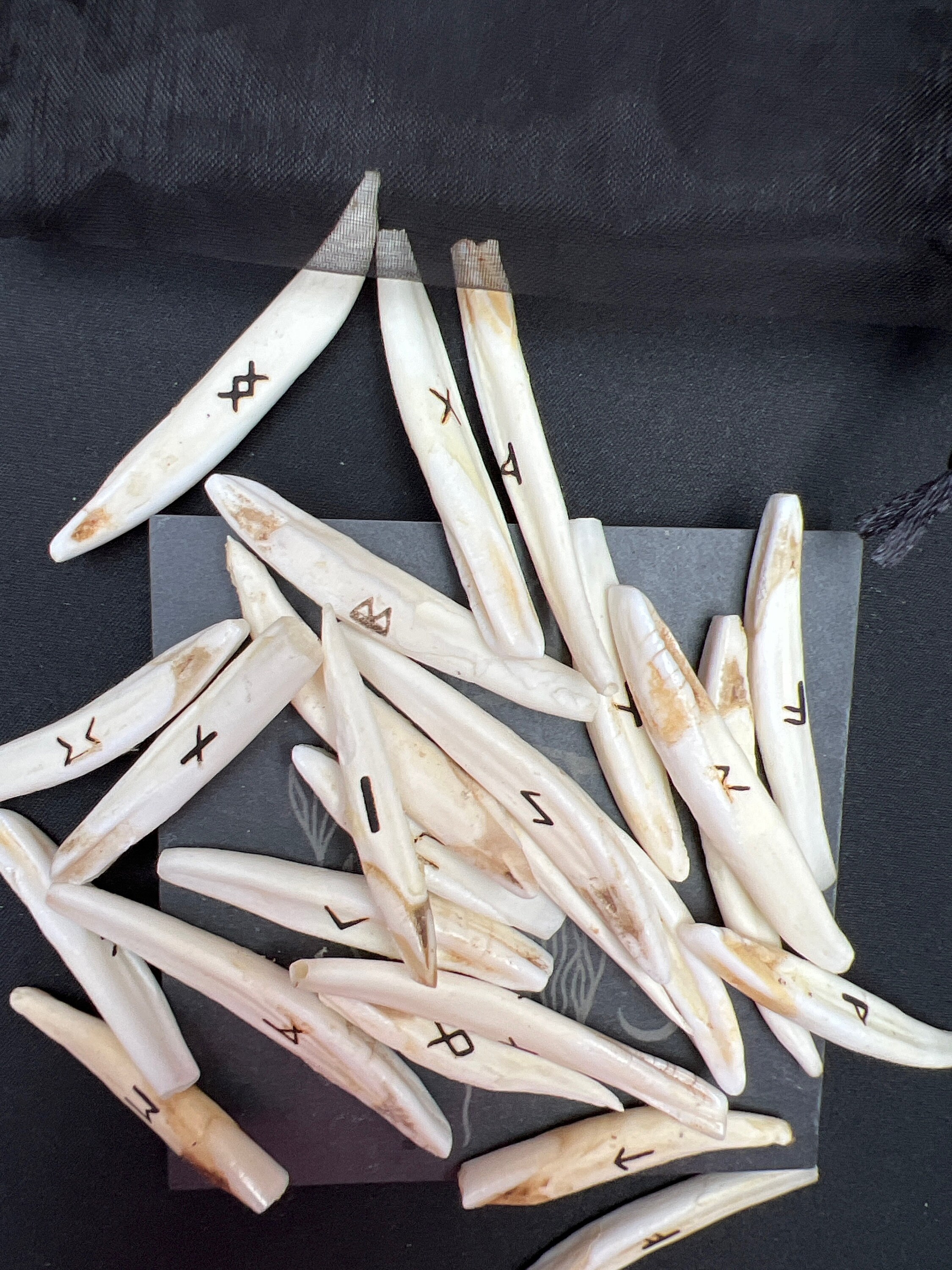 Rune Set Boar Teeth Runes Futhark Odin Witchy Wicca Sorcery Vikings ...