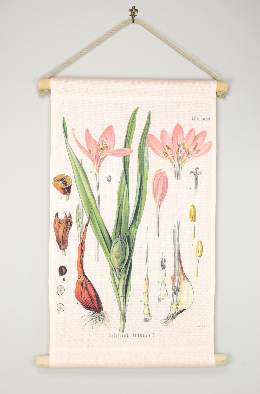 Vintage Botanical Wall Map Roll Map Fleurs Botanical Wall Chart Poster ...