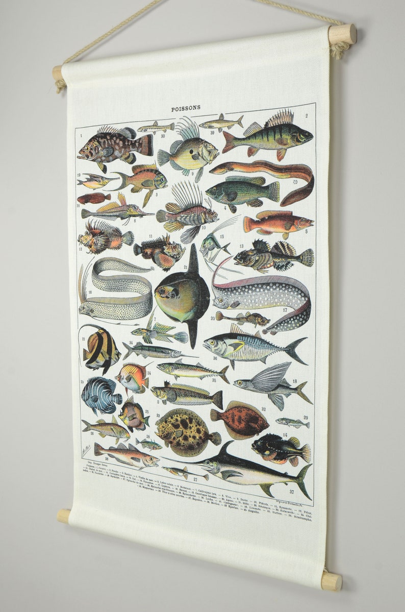 Vintage Wall Map Roll Map Fish Poissons Fishes Print Wall - Etsy