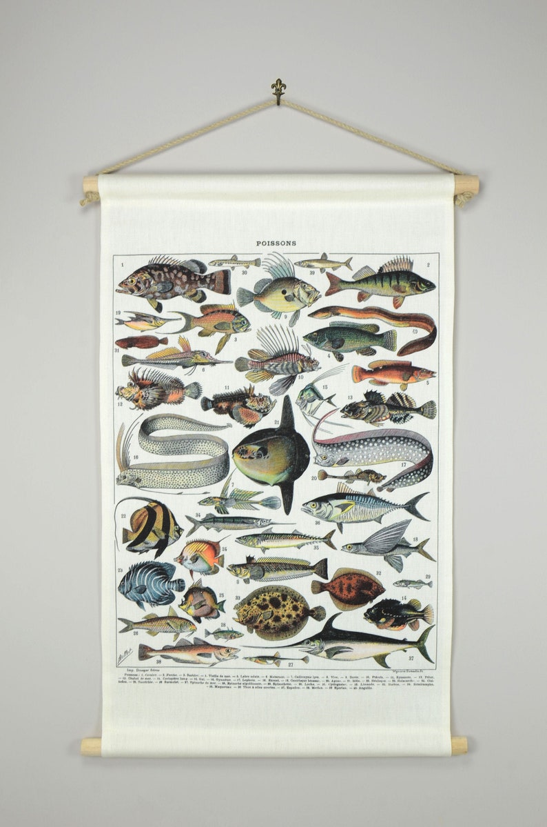 Vintage Wall Map Roll Map Fish Poissons Fishes Print Wall - Etsy