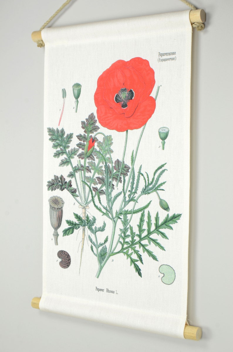 Vintage Botanical Wall Map Roll Map Fleurs Botanical Wall Chart Poster ...