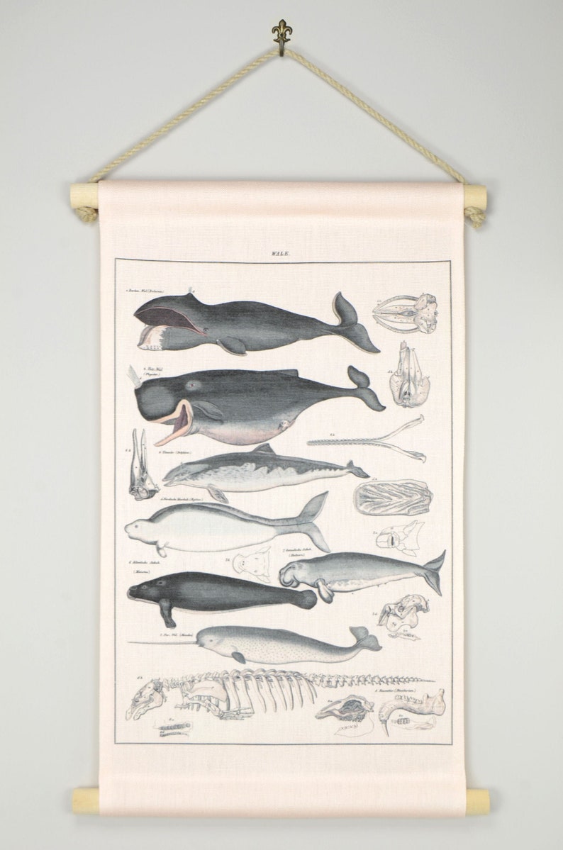 Vintage Wall Map Roll Map Whales Wales Print Wall Chart Poster Linen ...