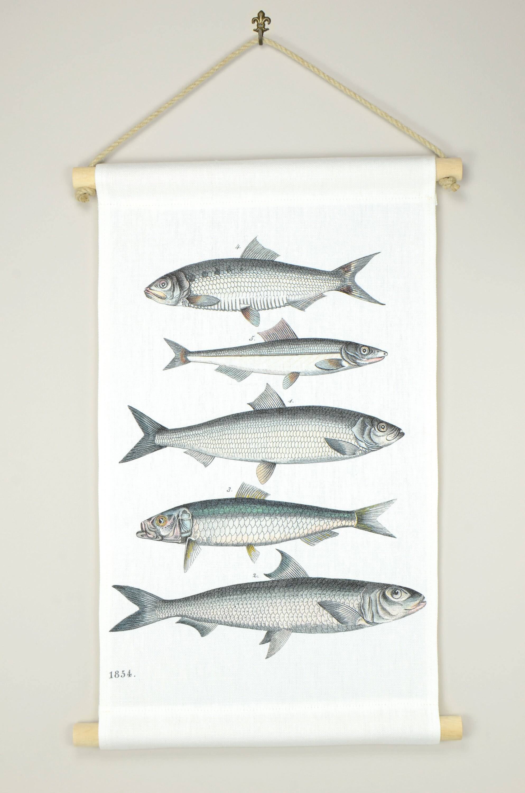 Vintage Wall Map Roll Map Fish Fishes Herring Wall Chart Poster Linen ...
