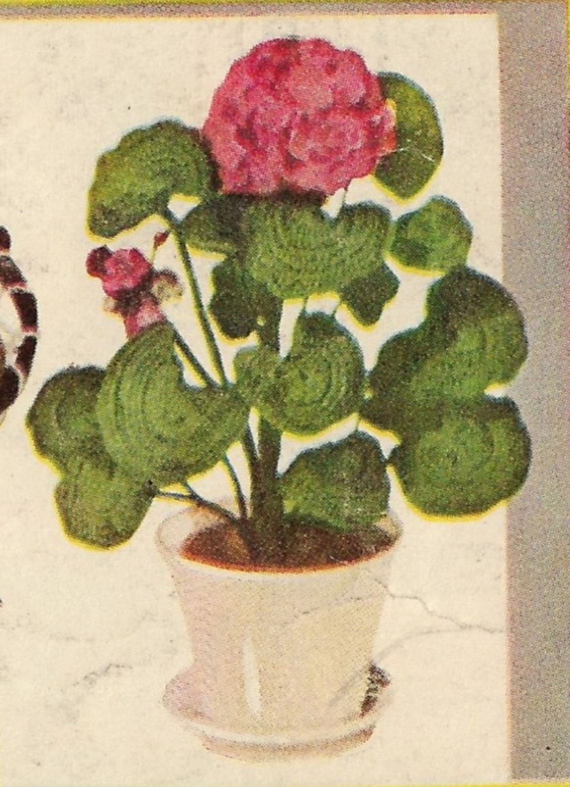 Vintage Crochet Potted Geranium Flower, PATTERN 1950's***pdf Instant ...