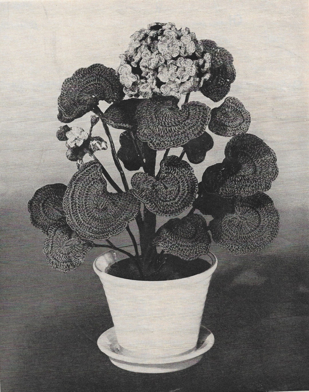 Vintage Crochet Potted Geranium Flower, PATTERN 1950's***pdf Instant ...