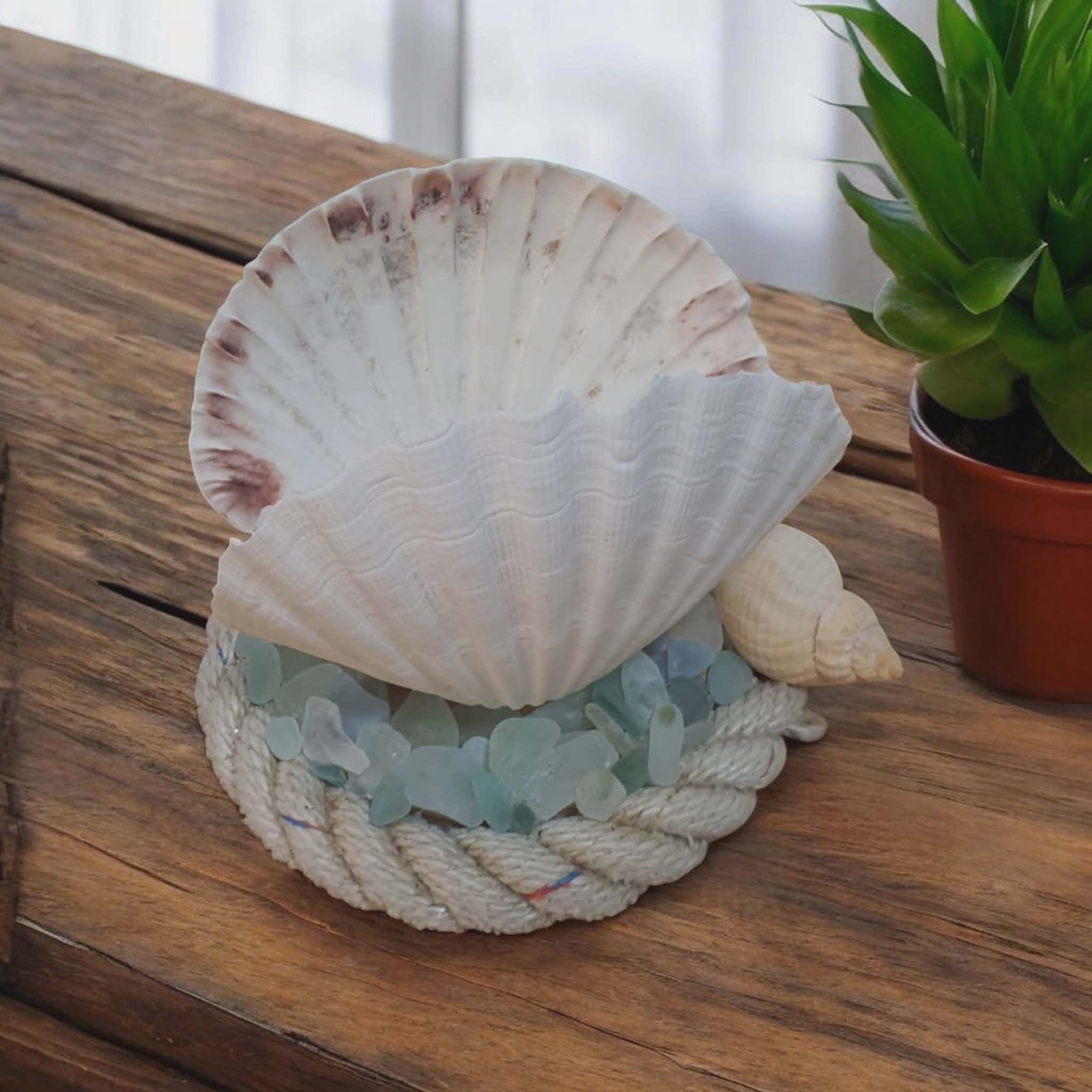 Handcrafted Scallop Shell LED Lamp: Beach-combed Coastal Decor - Etsy UK