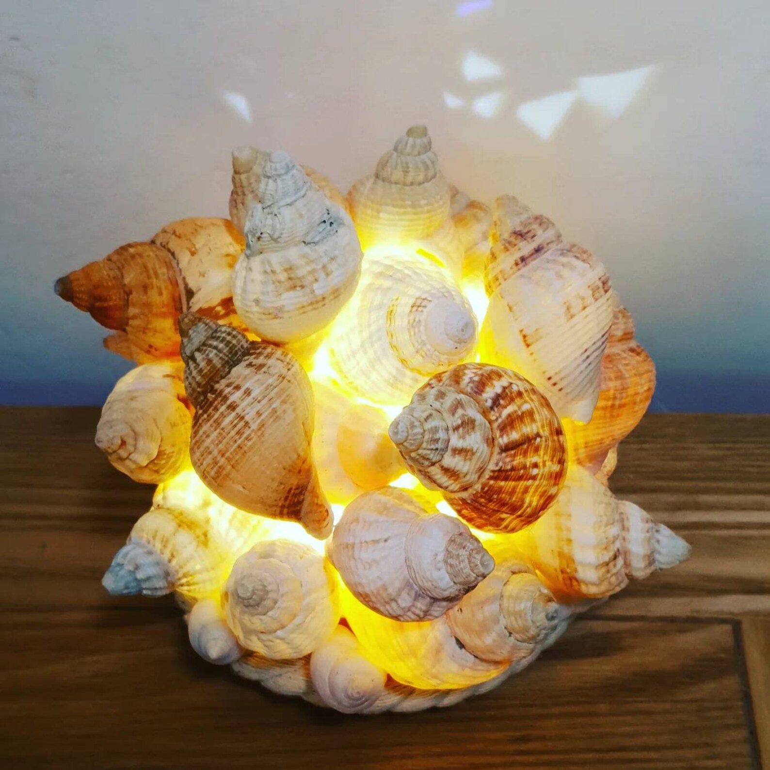 Shell Nightlight, Shell Lamp, LED Light, Lighting, Lamp, Shell Light ...
