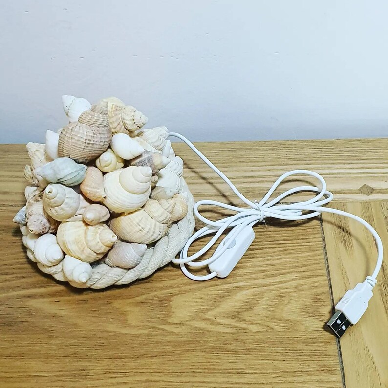 Shell Nightlight, Shell Lamp, LED Light, Lighting, Lamp, Shell Light ...
