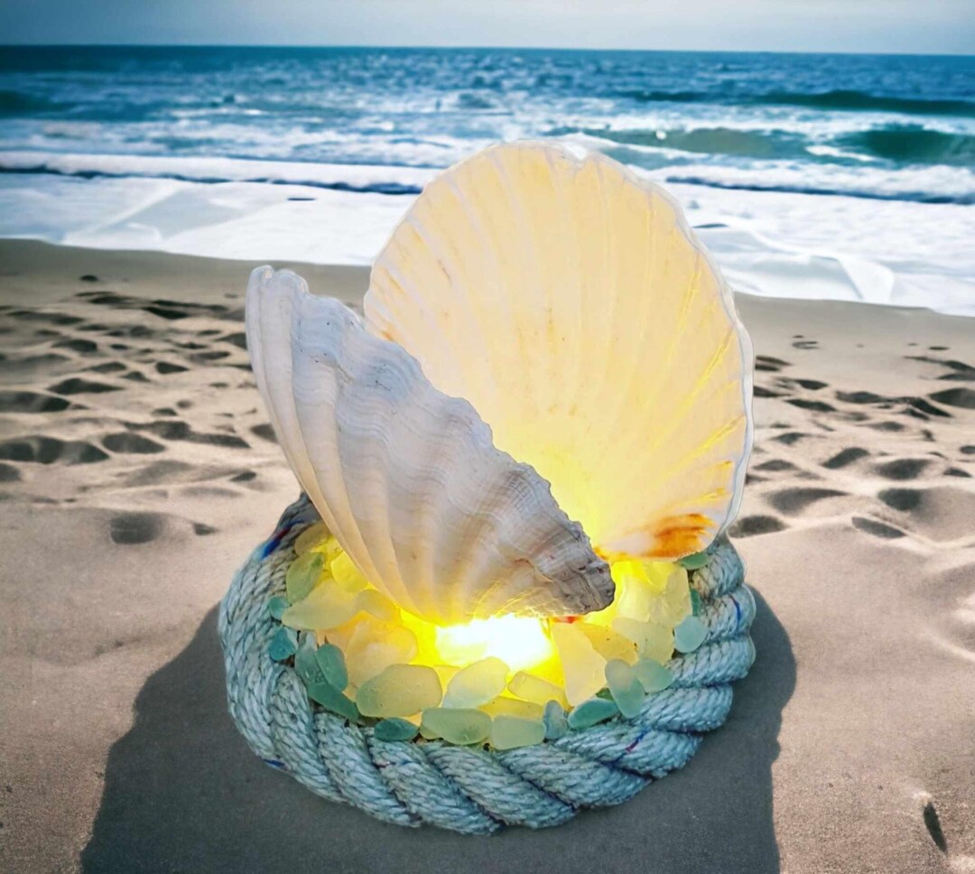 Handcrafted Scallop Shell LED Lamp: Beach-combed Coastal Decor - Etsy UK