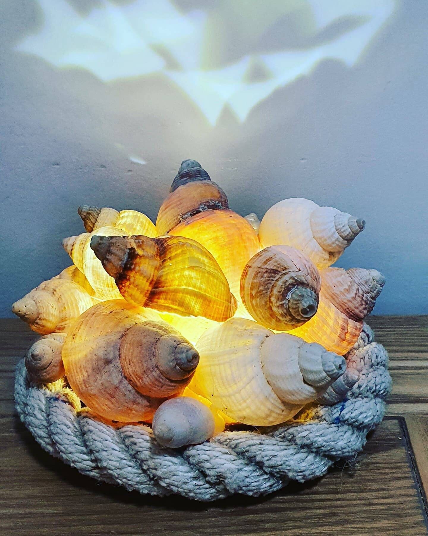 Shell Nightlight, Shell Lamp, LED Light, Lighting, Lamp, Shell Light ...