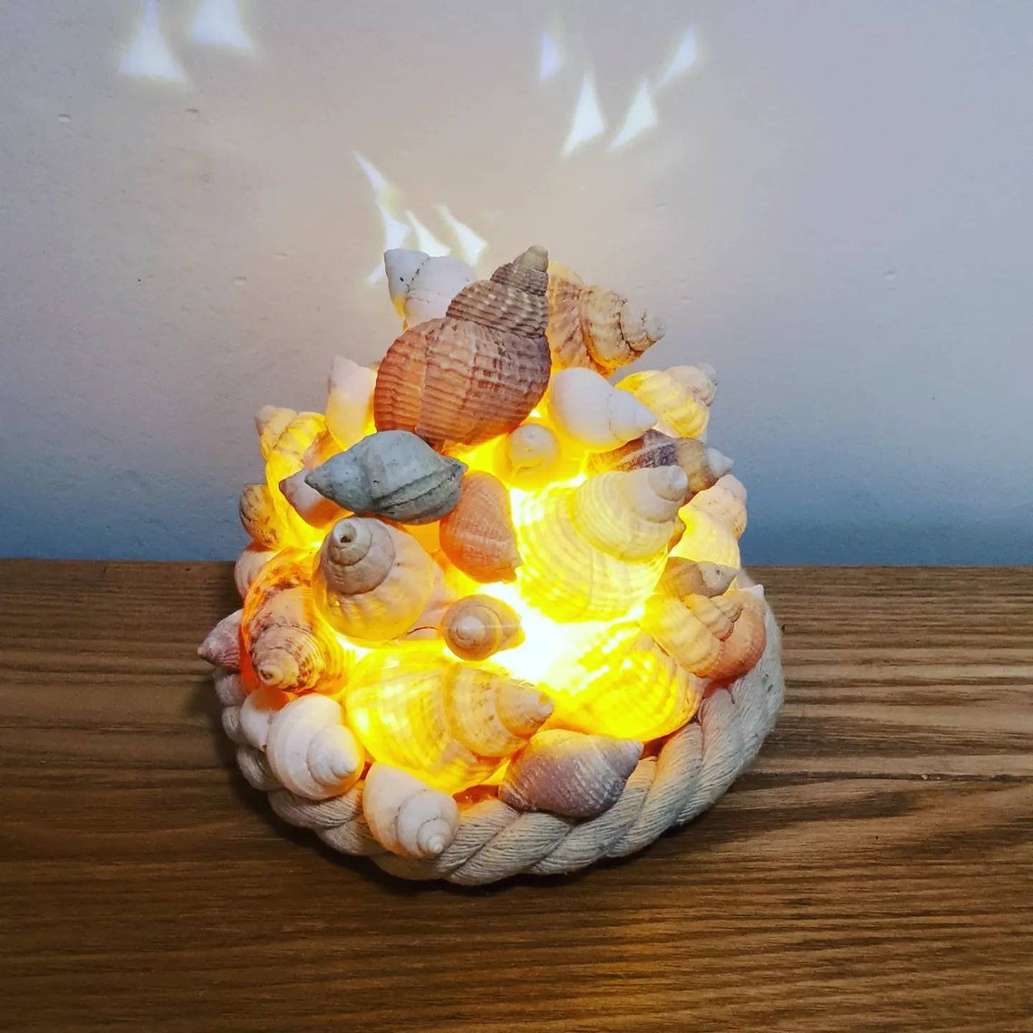 Shell Nightlight Shell Lamp LED Light Lighting Lamp Shell - Etsy UK