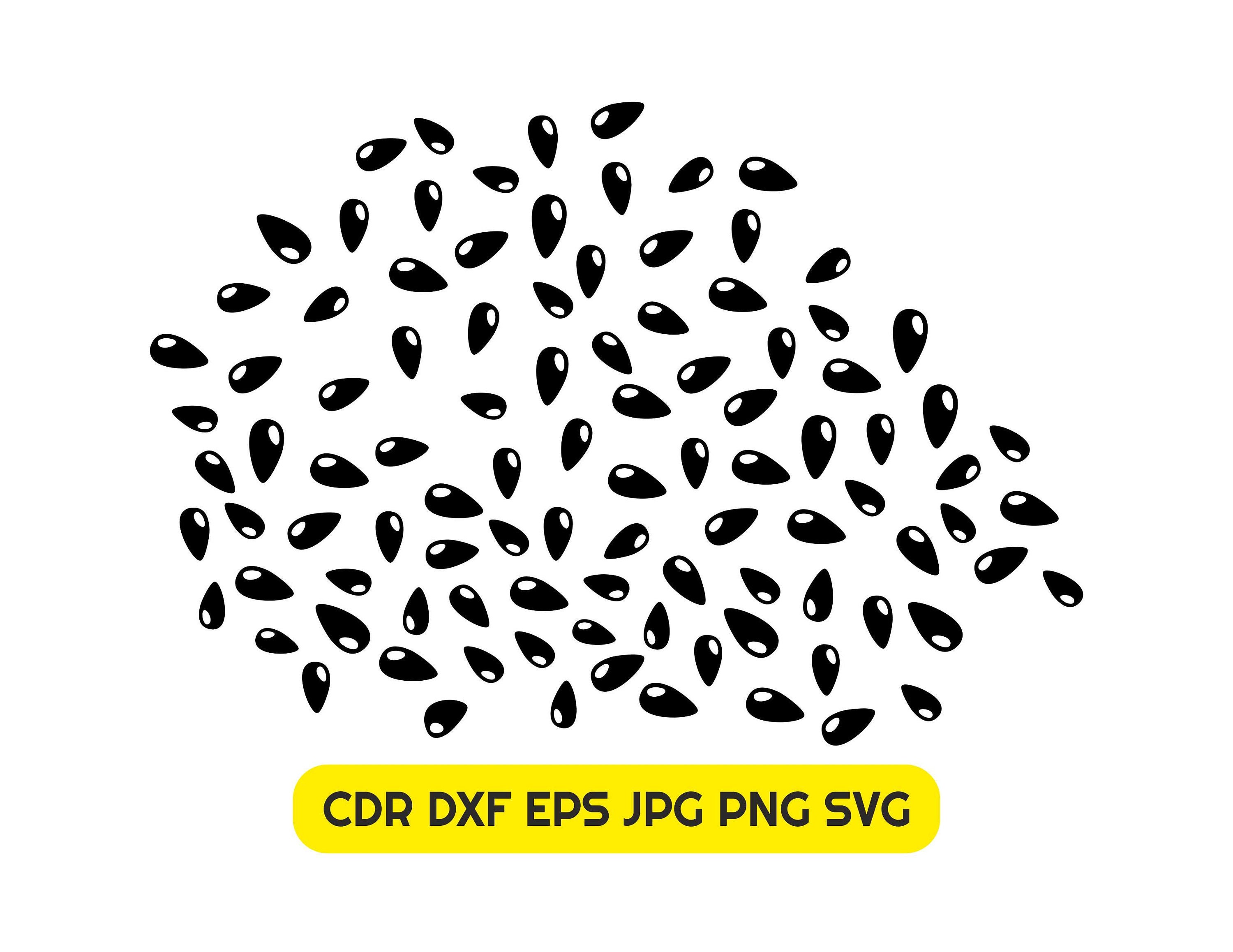 Seeds svg print watermelon seeds vector silhouette pregnancy | Etsy