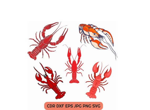 Crawfish Svg Download Files Digital Louisiana Crawfish Dxf - Etsy