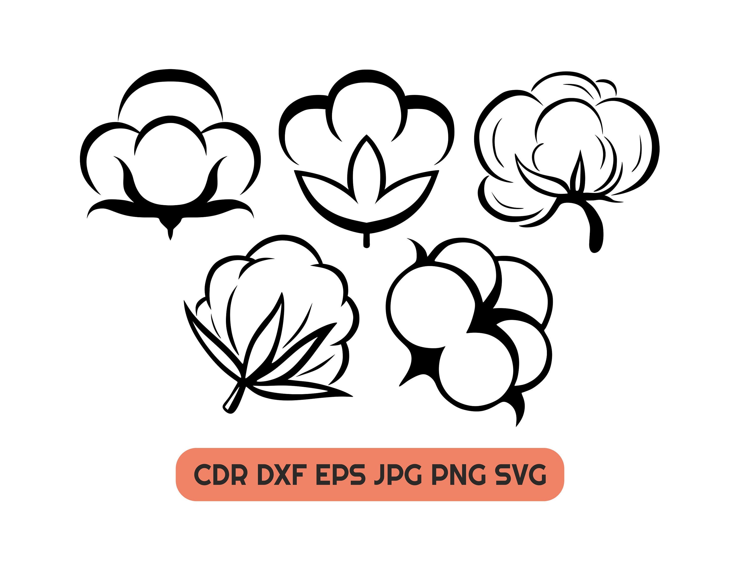 Cotton Plant Svg Cut File, Instant Download Cotton Vector Clipart ...