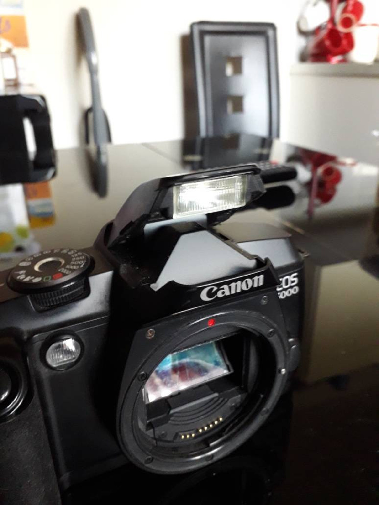 Canon Eos 5000 35 mm slr Corps de caméra de film seulement | Etsy