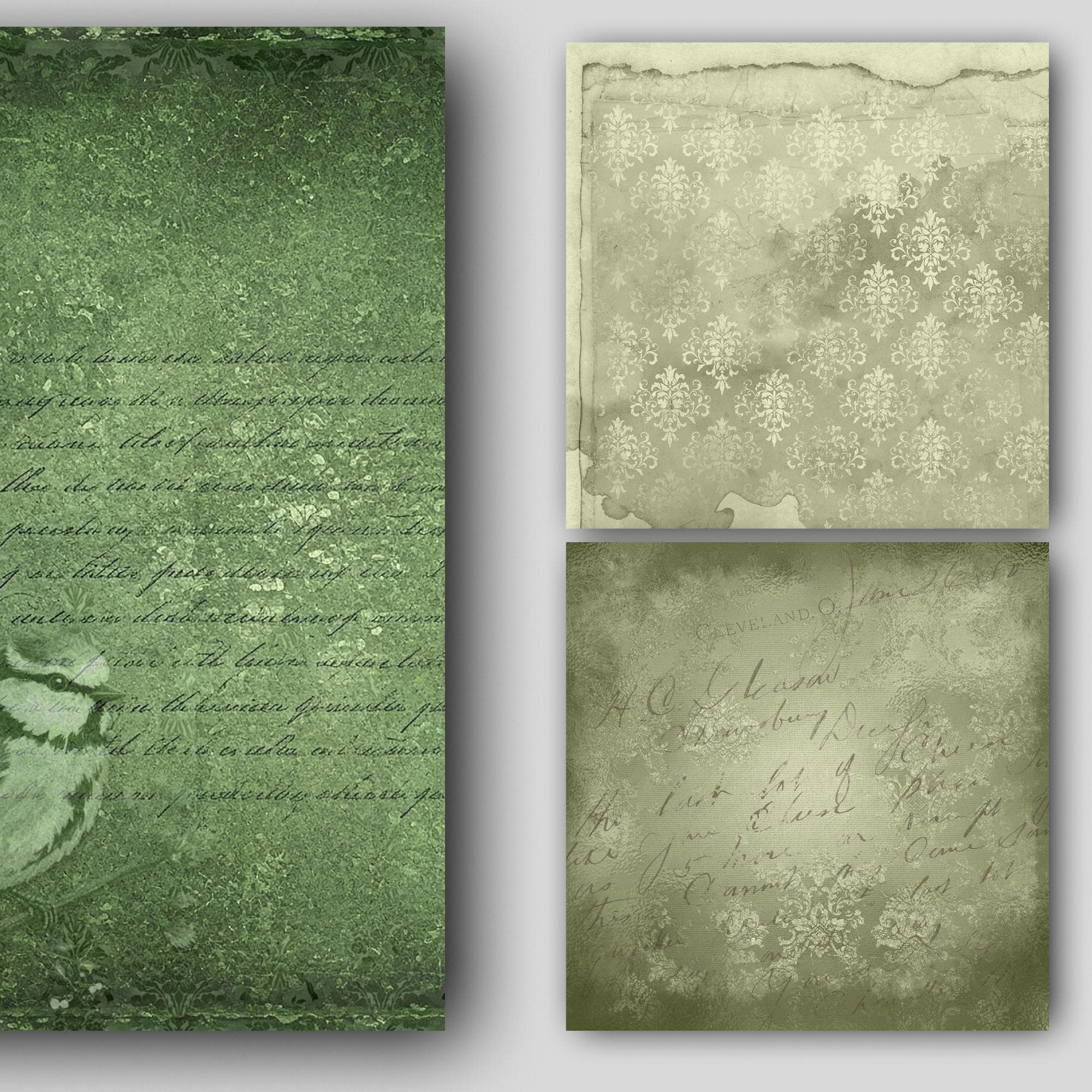 Green Scrapbook Digital Paper Pack: 12 Textured Backgrounds (12x12 JPG ...