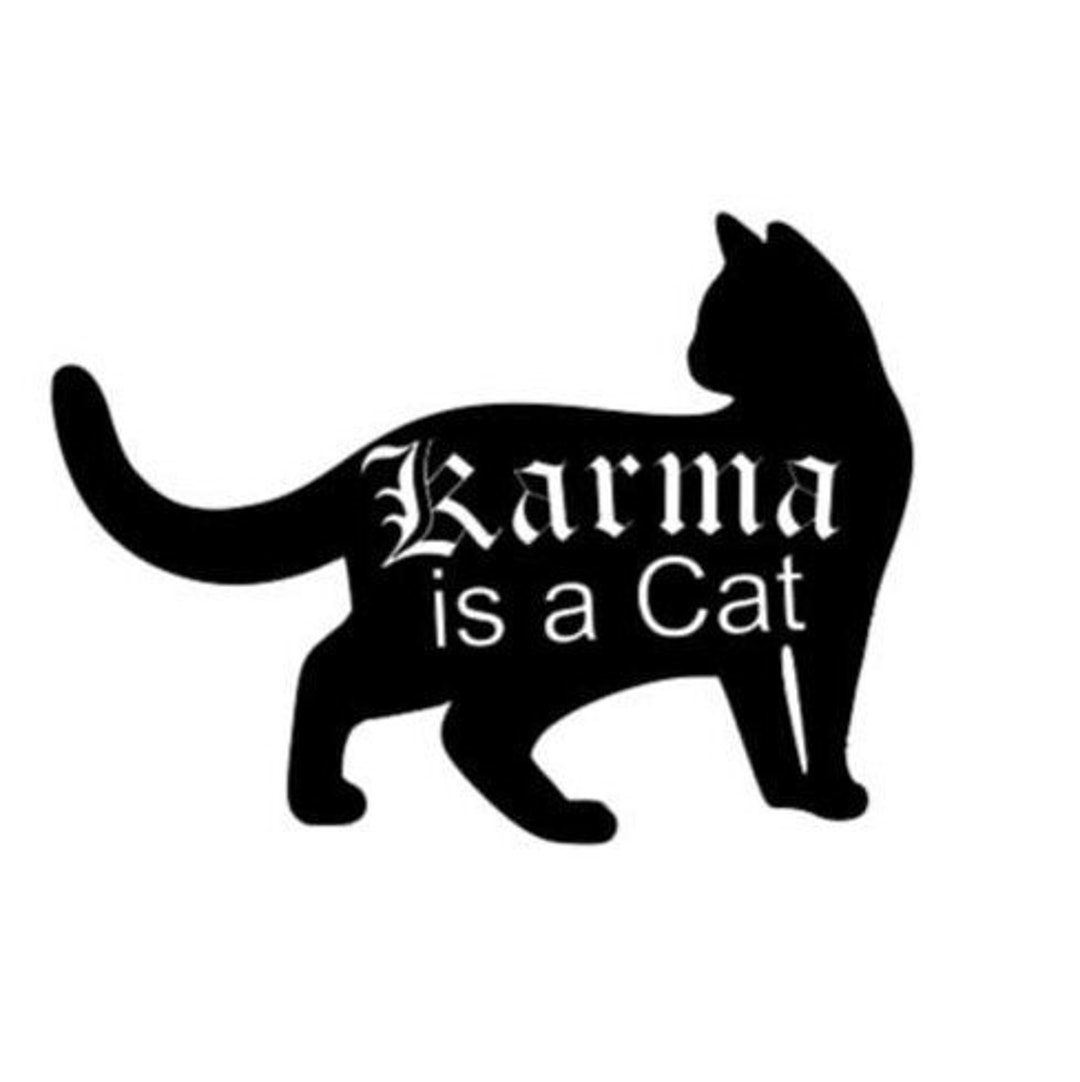 Karma is a Cat Decal - Etsy
