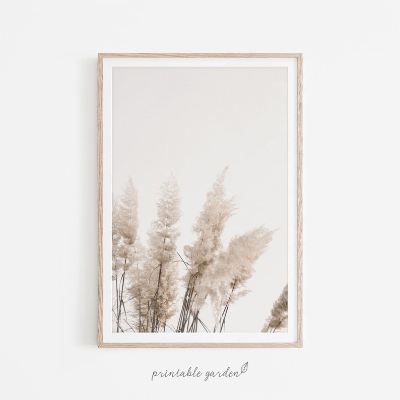 Pampas Grass Print Dried Grass Print Pampas Grass Printable - Etsy