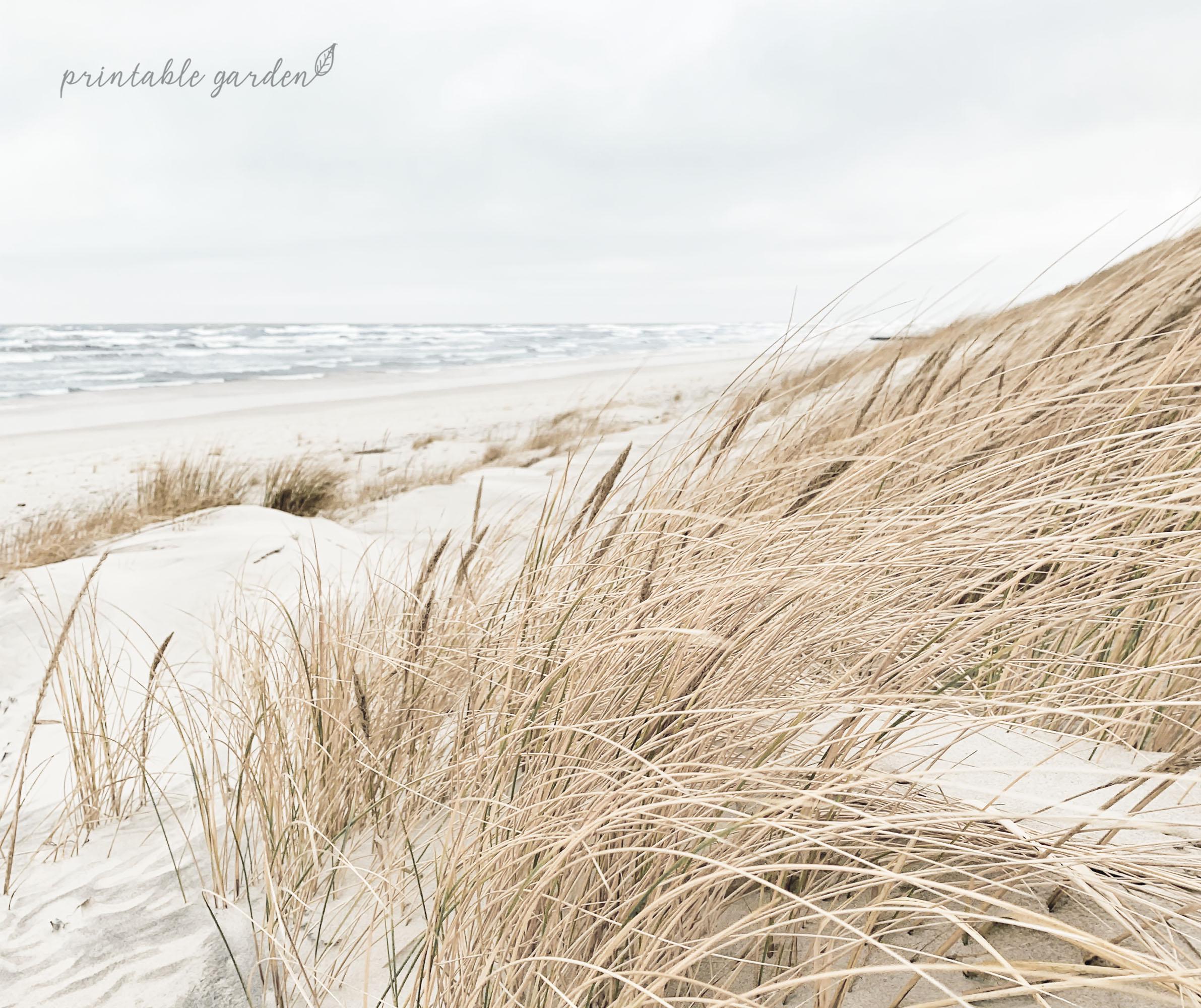 Calm Shoreline Pair: Neutral Coastal Prints, Cozy Cottage Wall Art ...