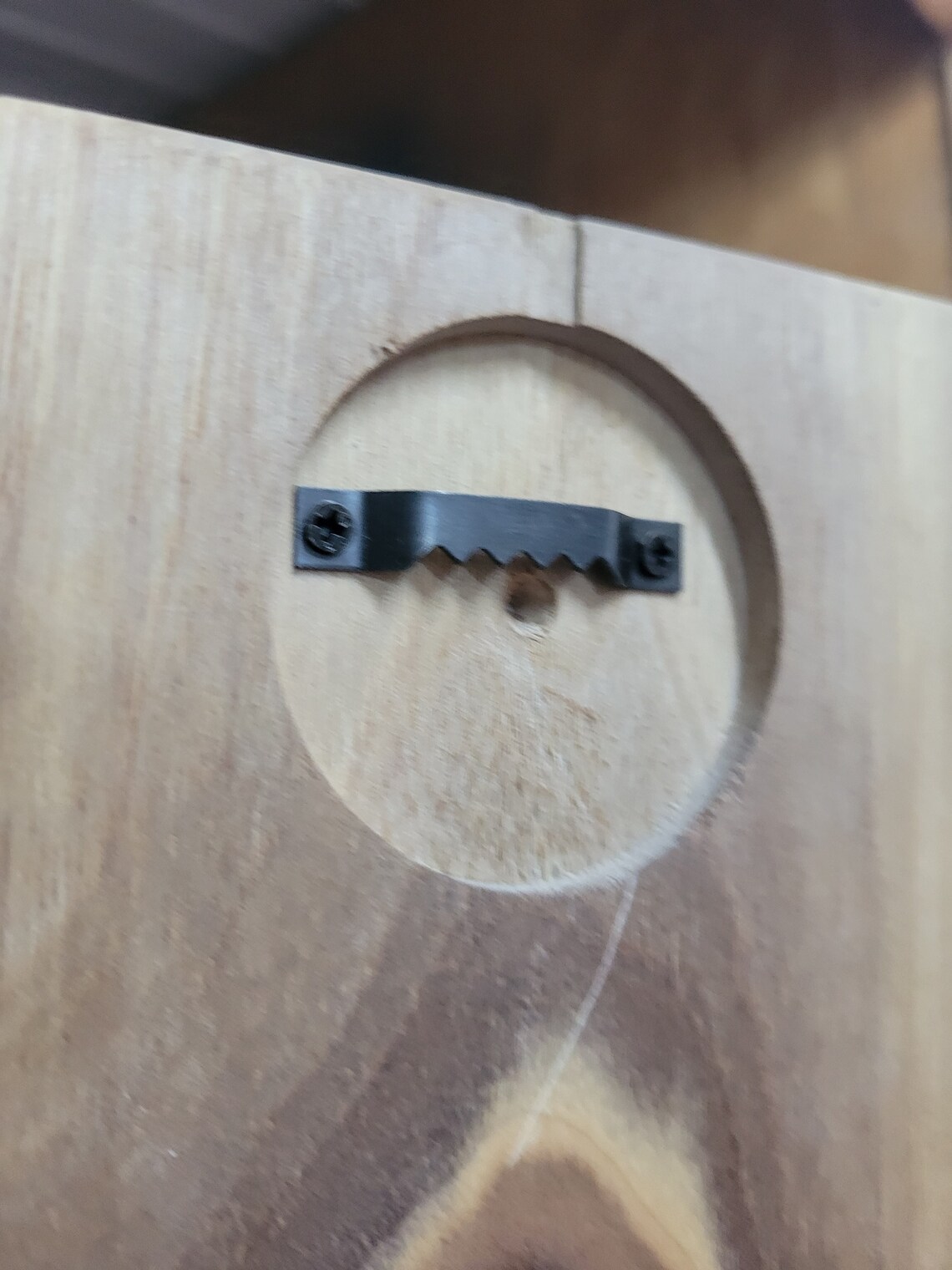 Live Edge Flower Odell Vase Wall Display - Etsy