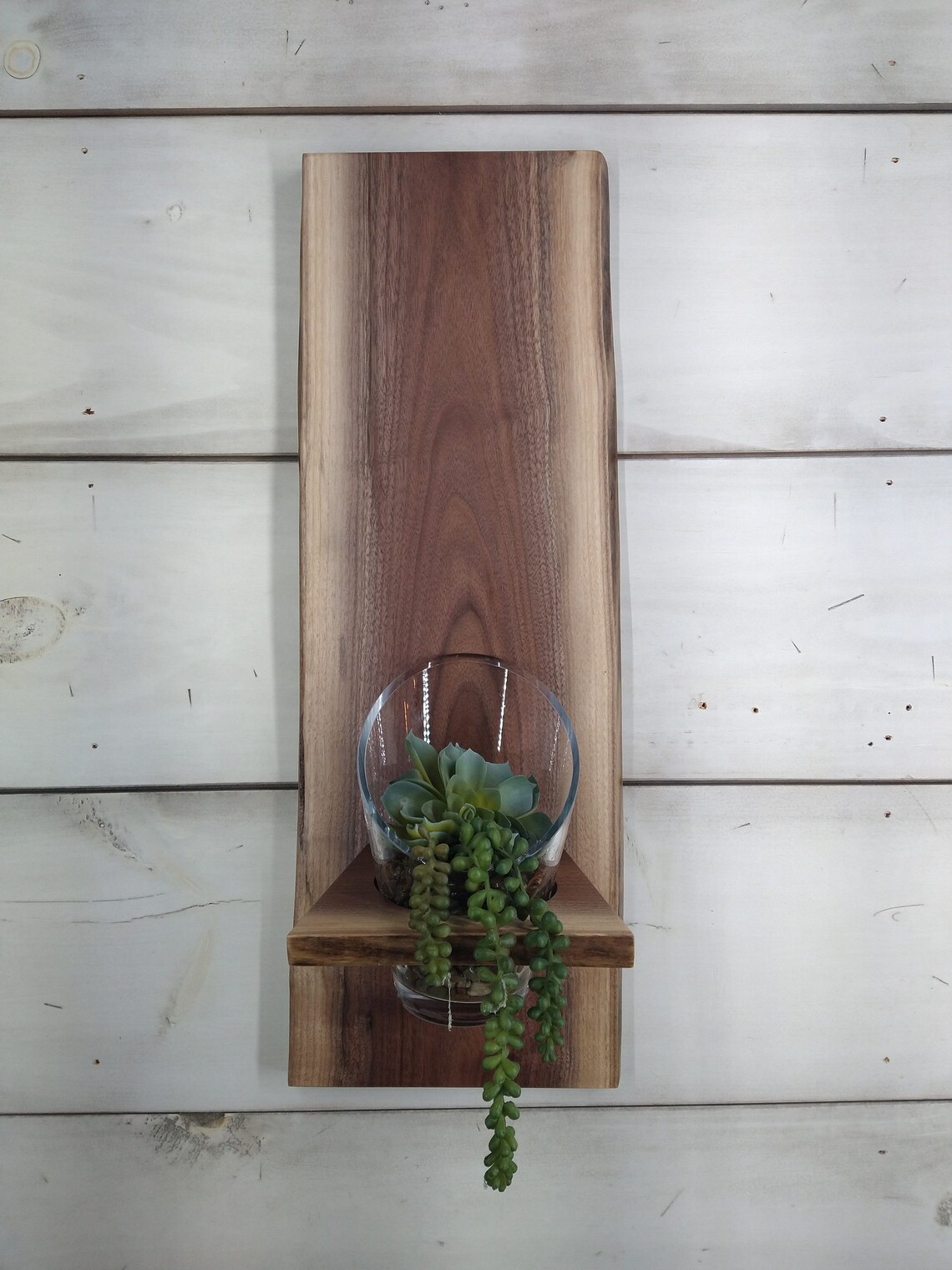 Live Edge Flower Odell Vase Wall Display - Etsy