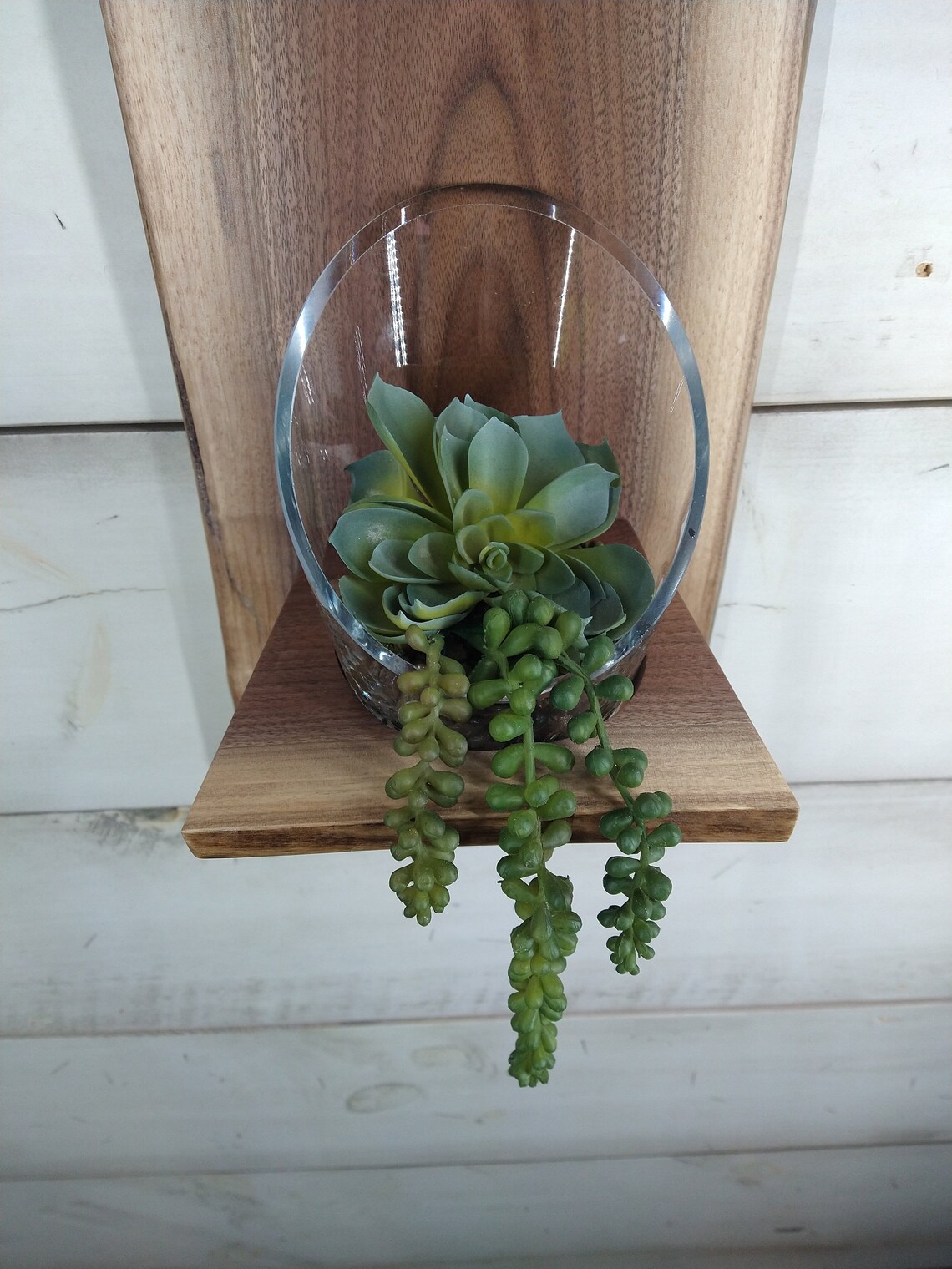 Live Edge Flower Odell Vase Wall Display - Etsy