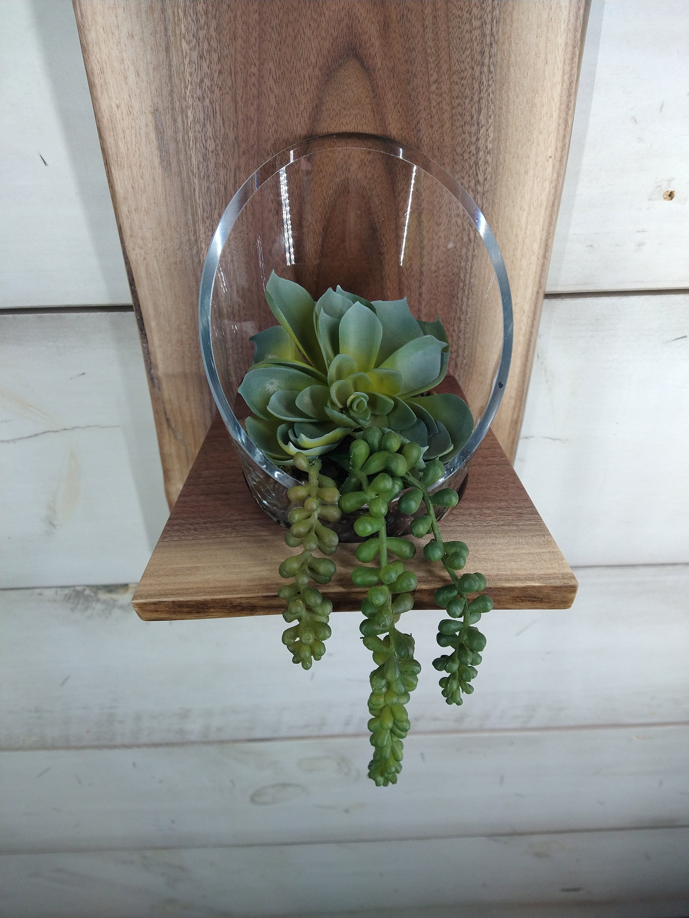 Live Edge Flower Odell Vase Wall Display - Etsy