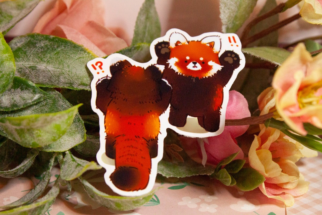 Surprised Red Panda Sticker - Etsy