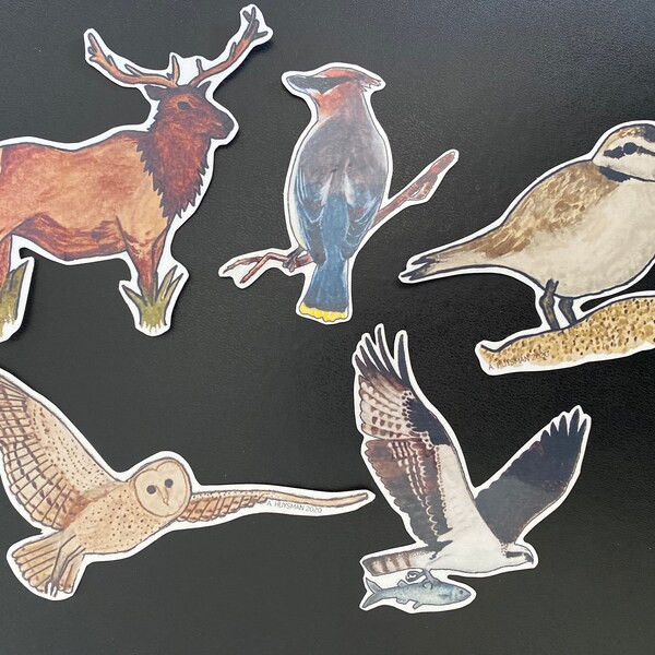 Wildlife Stickers - Etsy