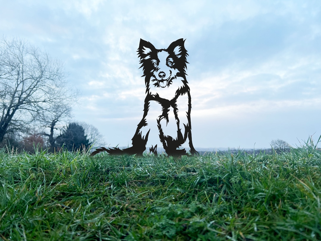 Metal/steel Border Collie Sheepdog Dog Breed Garden Decoration With ...