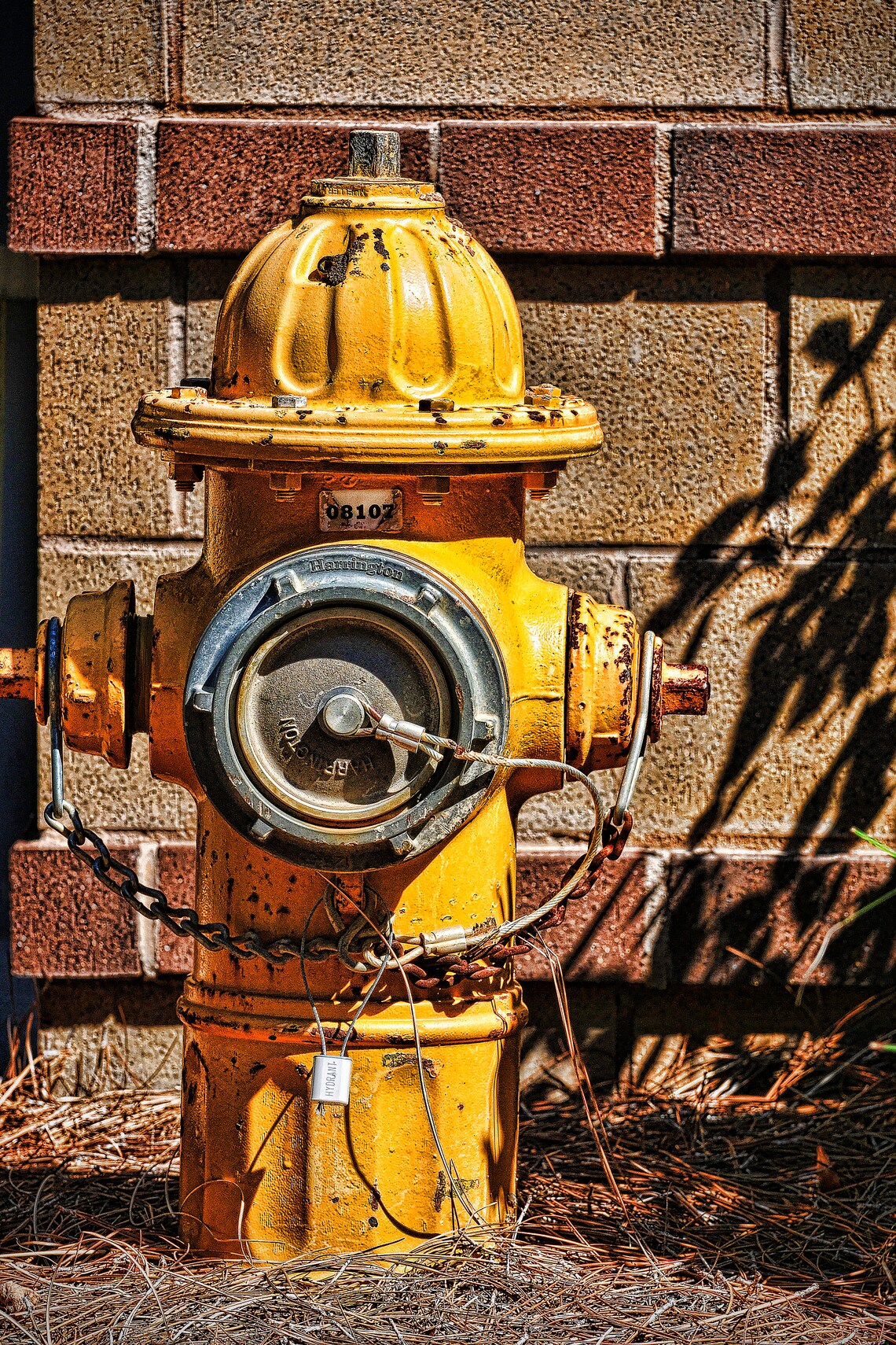 Fire Hydrant Photo, Photo Decor, Wall Decor, Photography, Yellow - Etsy