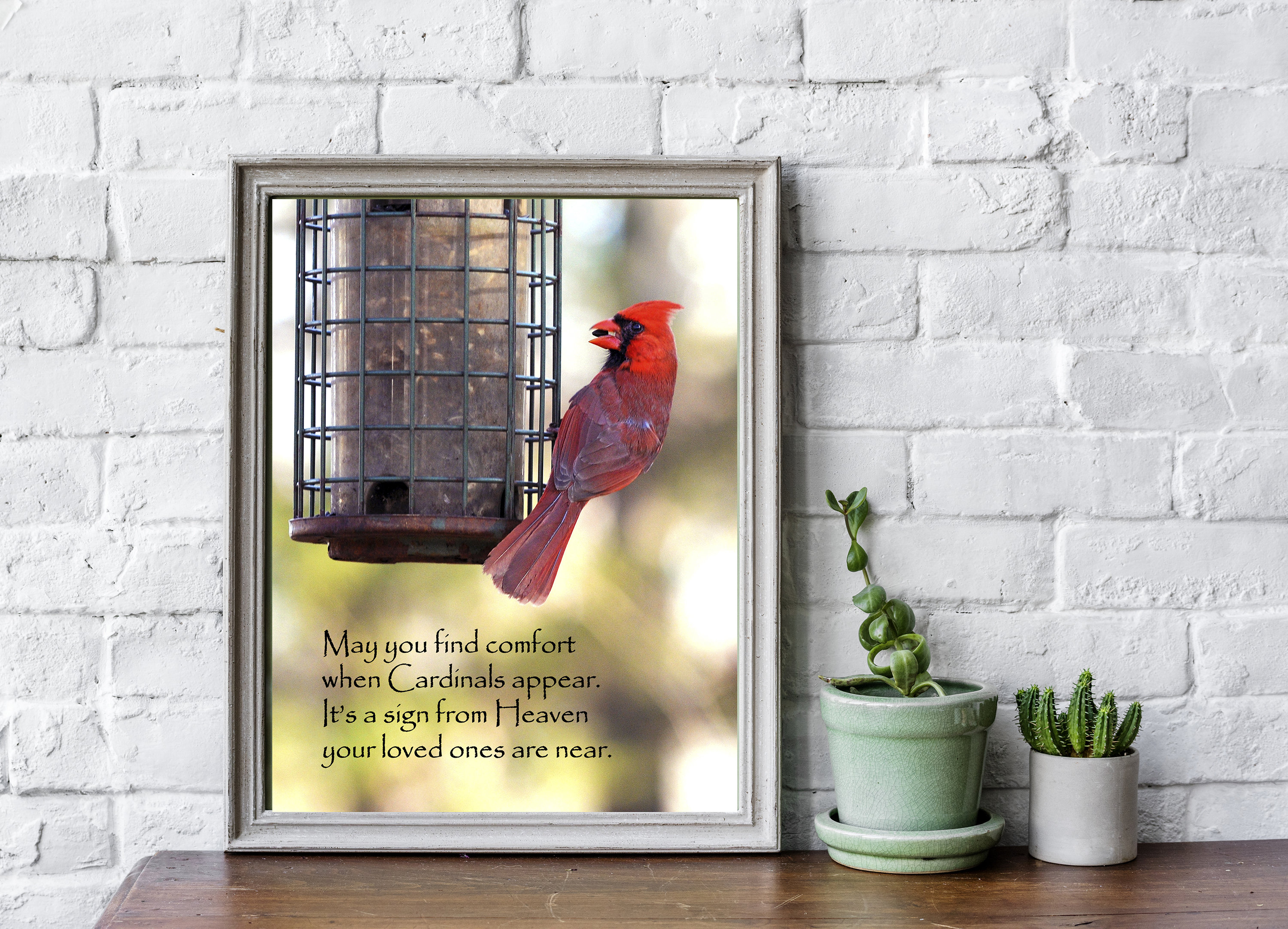 8X10 Cardinal Photograph, Quote, Comfort, Cardinals Appear, Sympathy ...