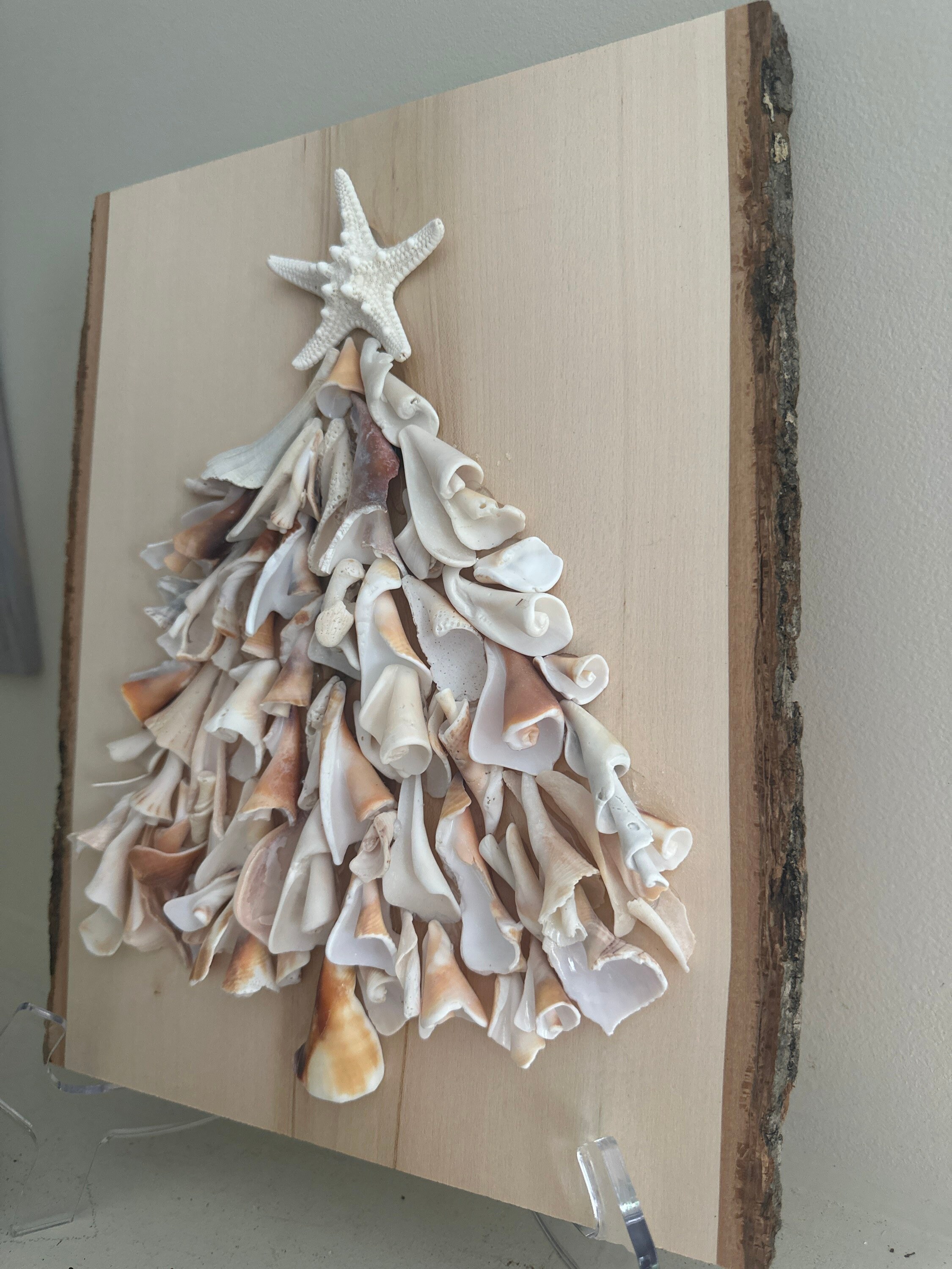 Decorative Wood Plank, Shell Tree - Etsy