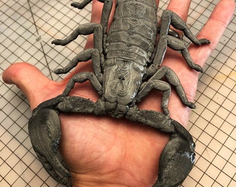 Display Scorpion - Etsy