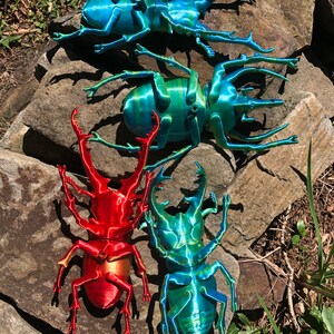 Giant Realistic Insect Stag Rhino Beetle Colossal Bug Ginormous Giant ...