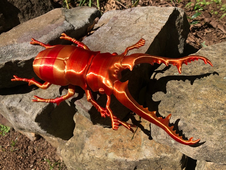Giant Realistic Insect Stag Rhino Beetle Colossal Bug - Etsy