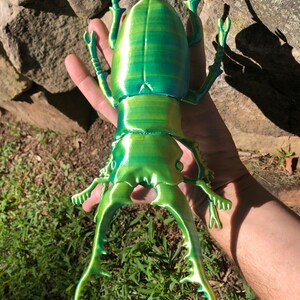 Giant Realistic Insect Stag Rhino Beetle Colossal Bug Ginormous Giant ...