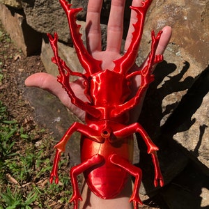 Giant Realistic Insect Stag Rhino Beetle Colossal Bug Ginormous Giant ...