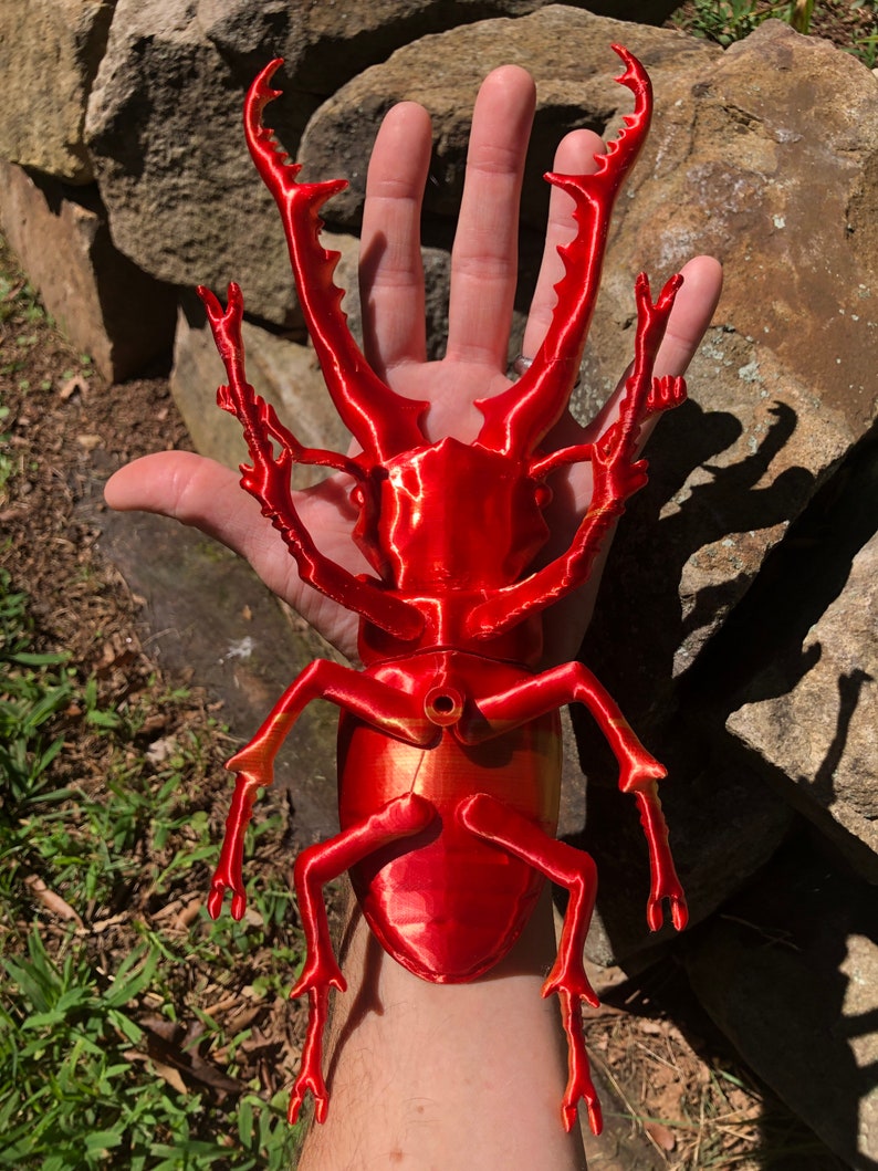 Giant Realistic Insect Stag Rhino Beetle Colossal Bug - Etsy