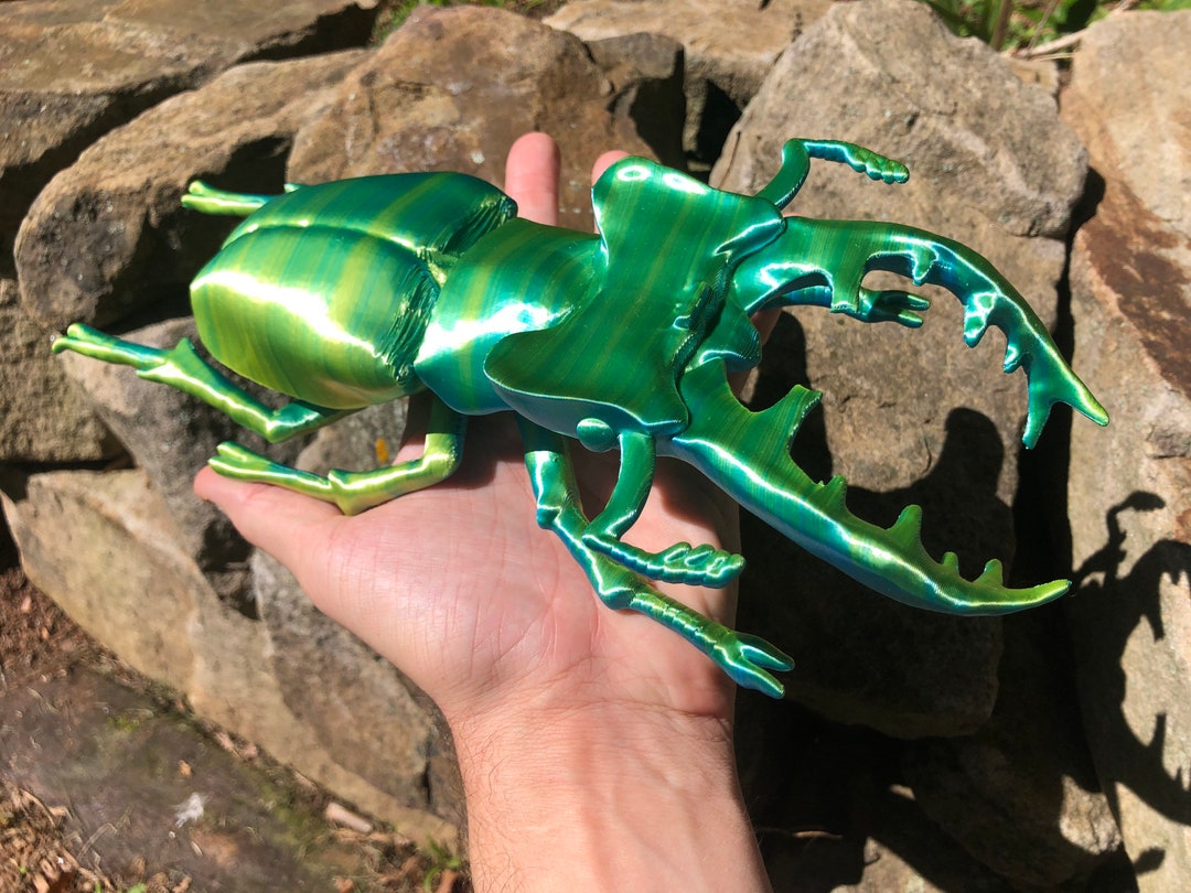 Giant Realistic Insect Stag Rhino Beetle Colossal Bug Ginormous Giant ...