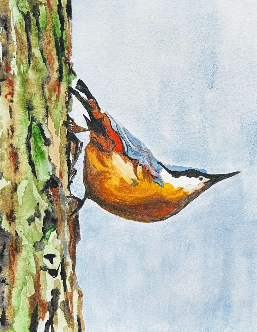 Nuthatch Watercolor Painting: Original Bird Art, 9x12, Ready to Frame ...