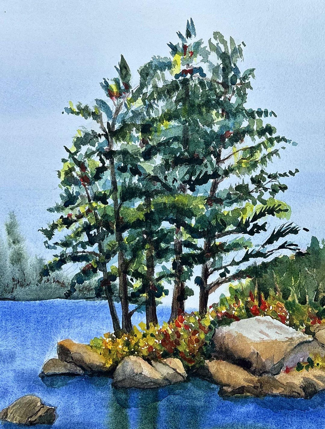 Boundary Waters Art: Wilderness Painting - Pine Trees - BWCA Lake (8x10 ...