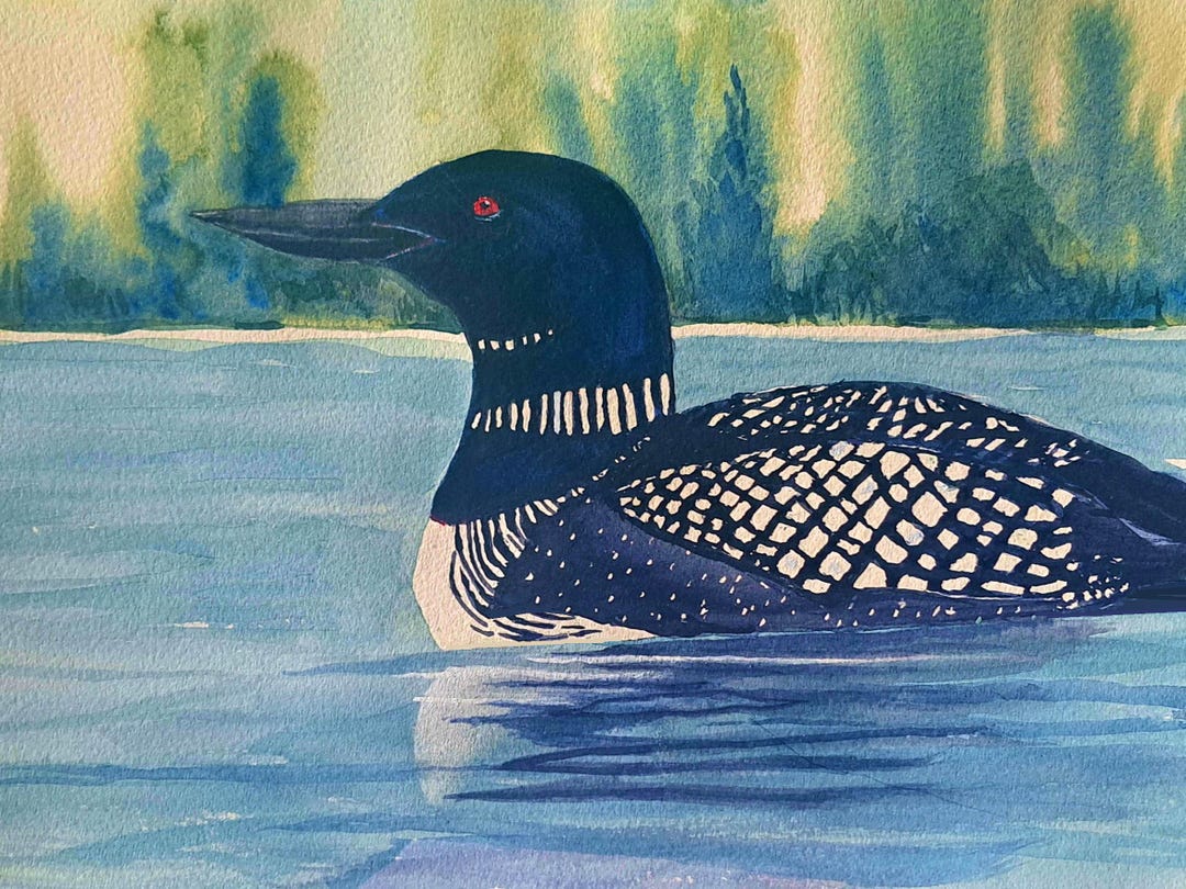 Loon Watercolor Painting: BWCA Lake Wildlife Art, 8x10 Matted - Etsy