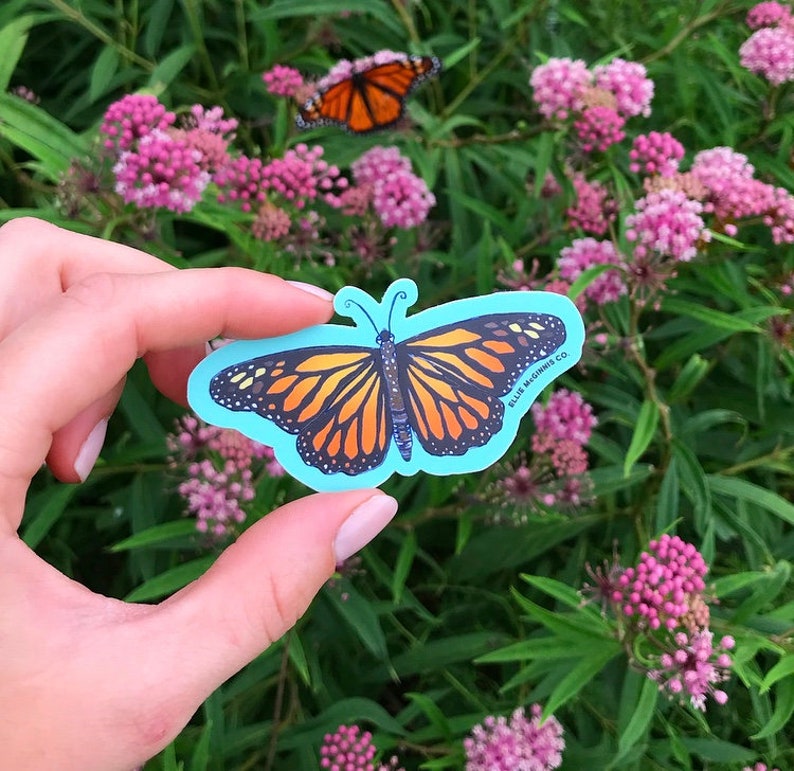 Monarch Butterfly Animal Vinyl Sticker - Ellie Mcginnis Co. - Etsy