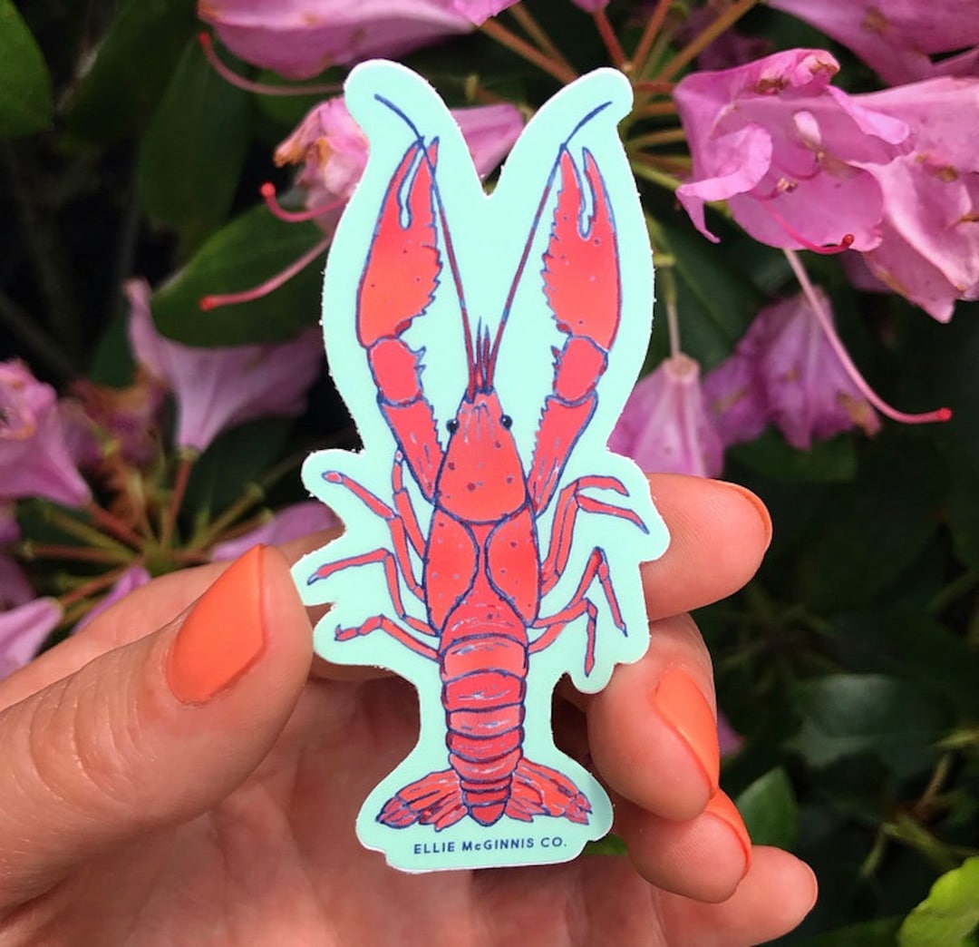 Crawfish Vinyl Sticker - Ellie Mcginnis Co. - Etsy