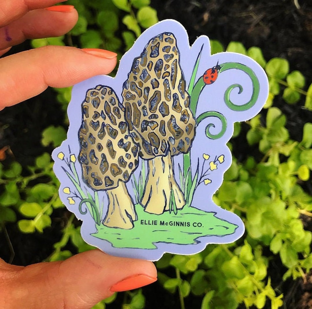 Morel Mushroom Vinyl Sticker - Ellie Mcginnis Co. - Etsy
