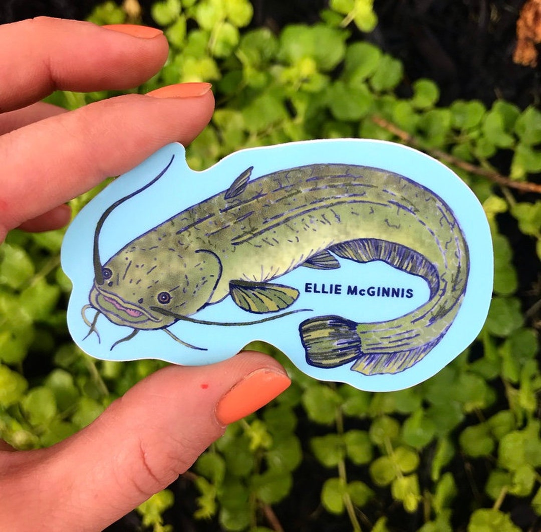 Catfish Vinyl Sticker - Ellie Mcginnis Co. - Etsy