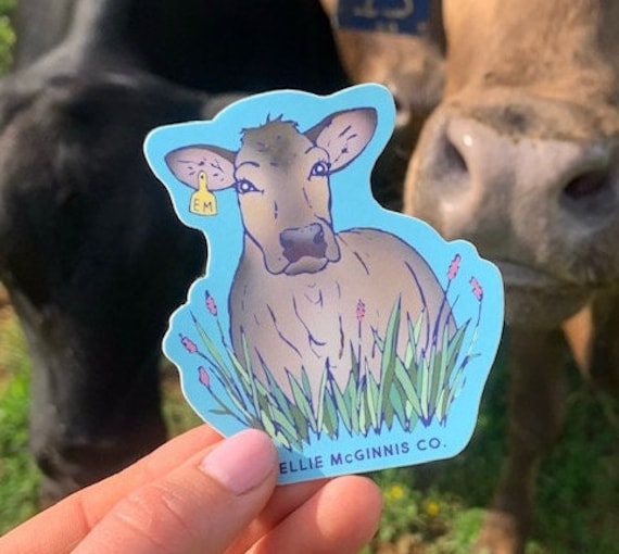 Brown Heifer Cow Calf Cattle Farming Sticker Ellie Mcginnis - Etsy