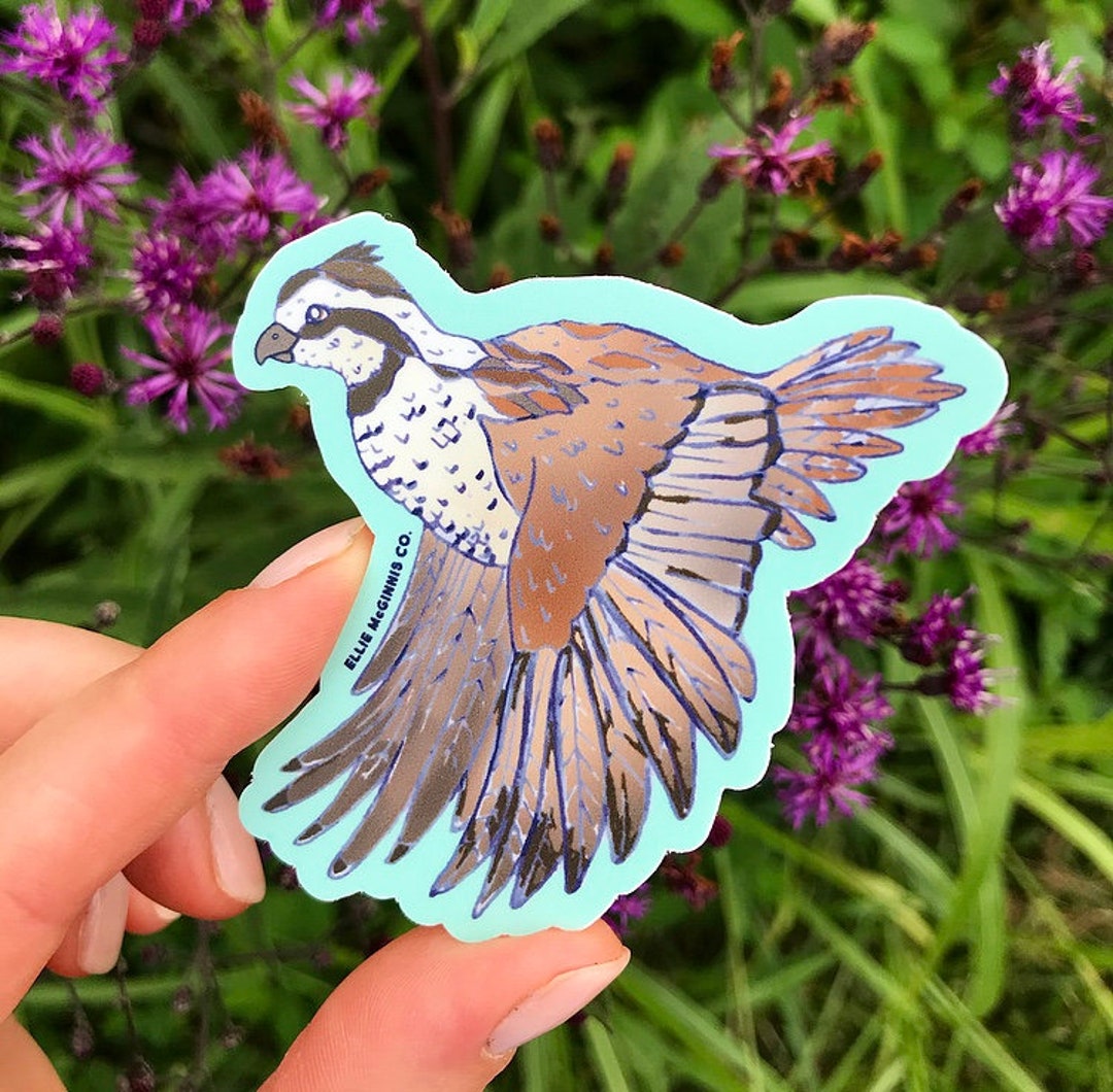 Bobwhite Quail Vinyl Hunting Sticker - Ellie Mcginnis Co. - Etsy
