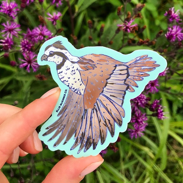 Quail Stickers - Etsy